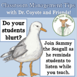 Classroom Management Tips from Sammy the Seagull – Cara from Montara
